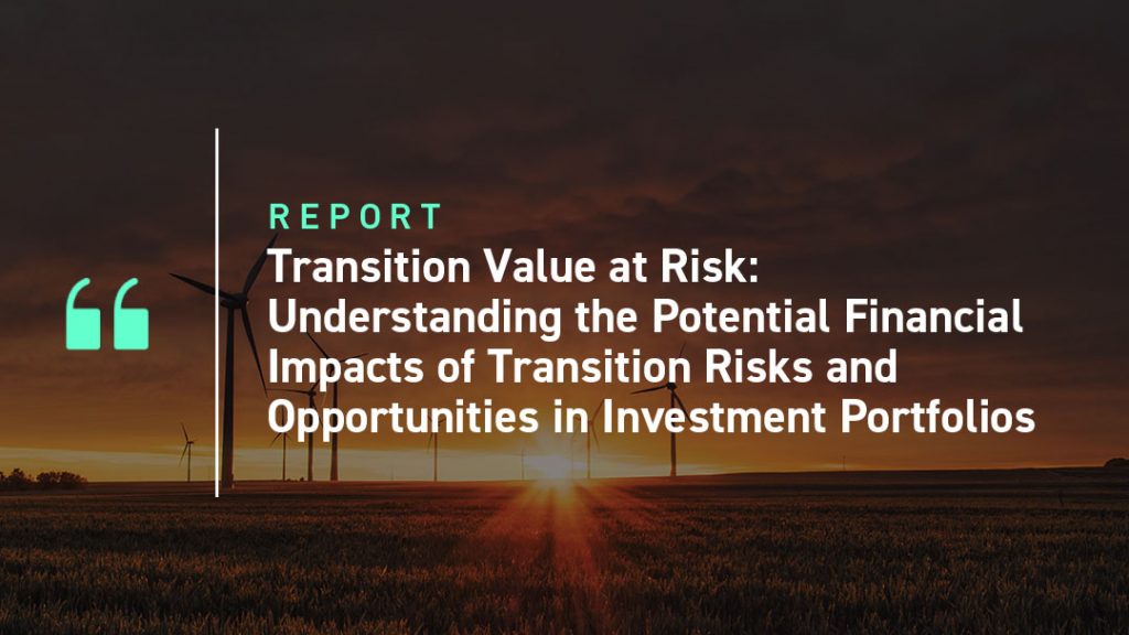 Transition Value at Risk: Understanding the Potential Financial Impacts ...