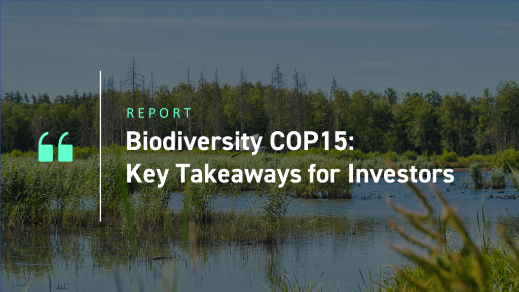 Biodiversity COP15: Key Takeaways for Investors