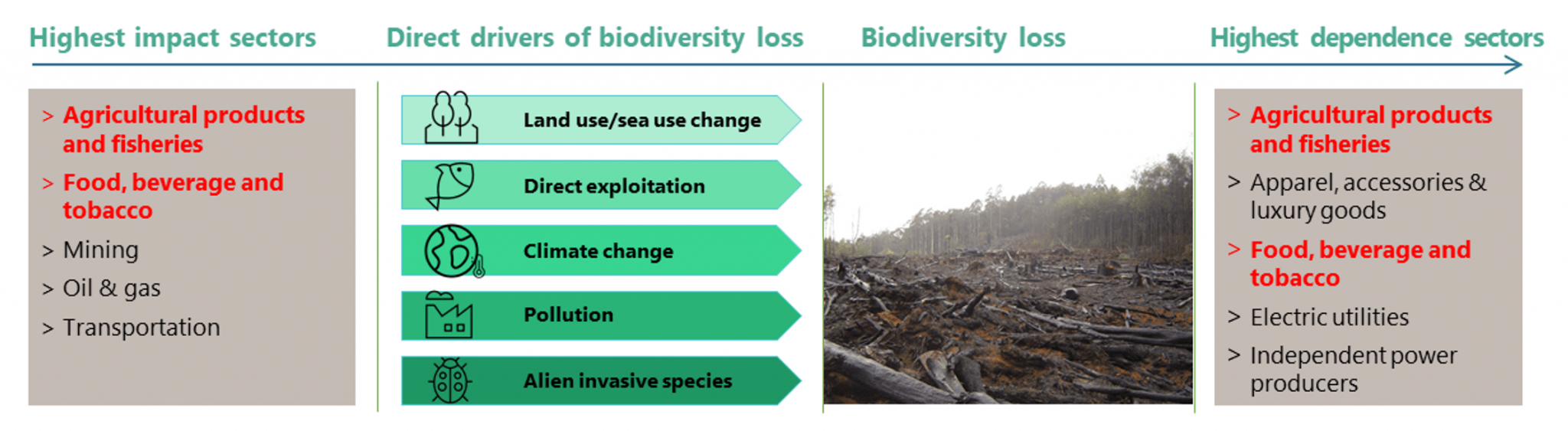 Measuring the Biodiversity Impact of Global Equities