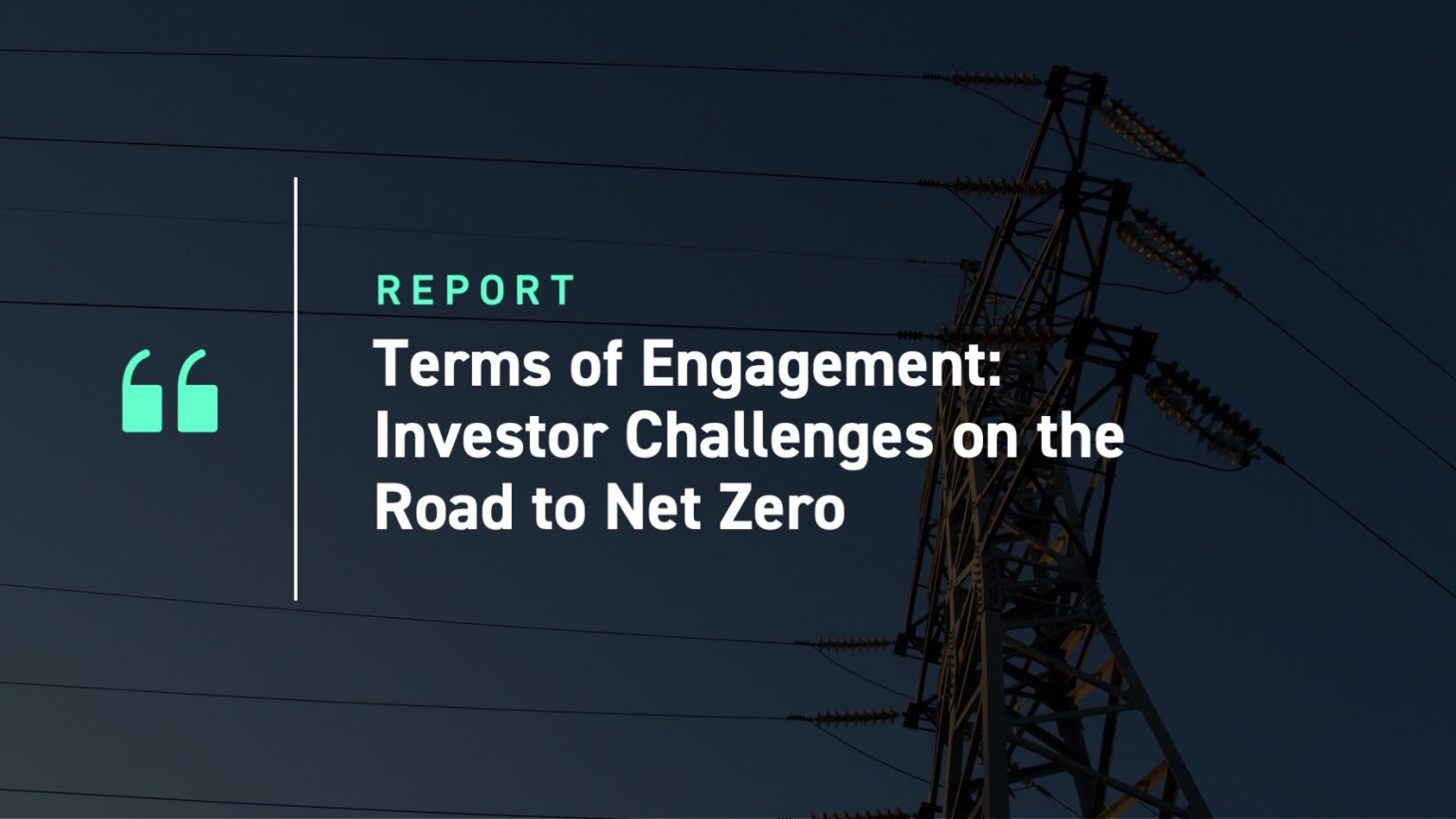 Terms of Engagement: Investor Challenges on the Road to Net Zero