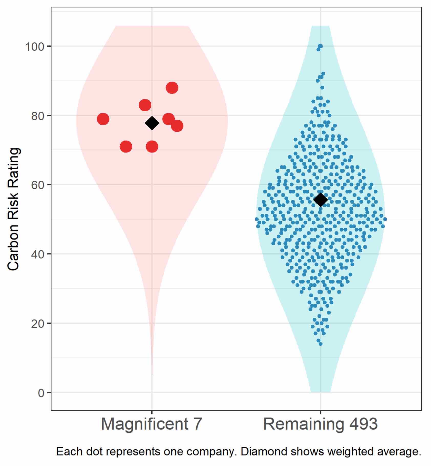 The Magnificent 7: A Sustainability Perspective